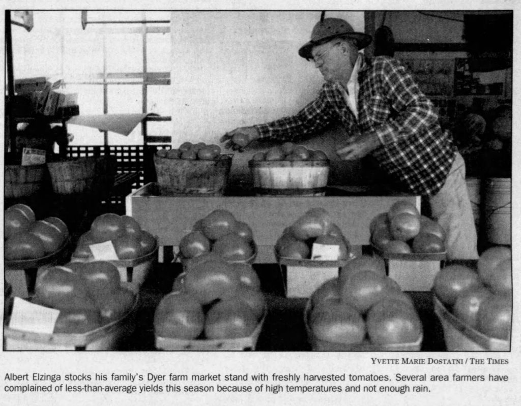 Elzinga's History - Elzinga Farm & Greenhouse